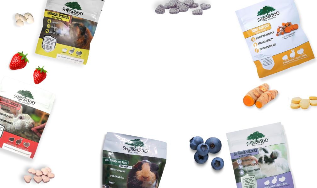 Sherwood Pet Health – Sherwood Pet Health